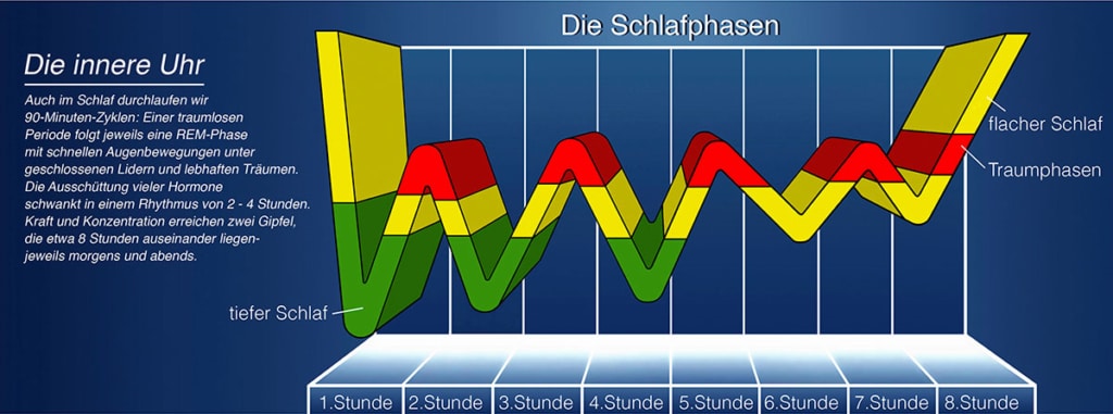 Die optimale Schlafenszeit – Schlafdauer & Schlafbedarf
